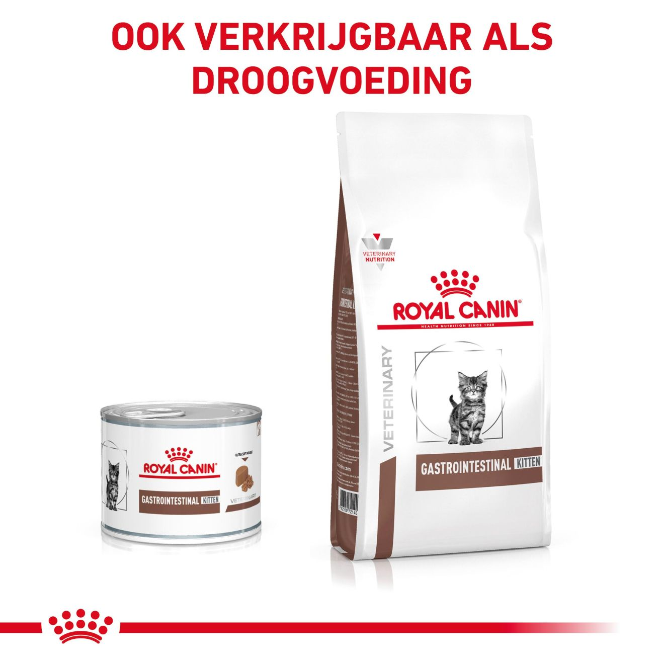 Gastrointestinal Kitten | Royal Canin NL