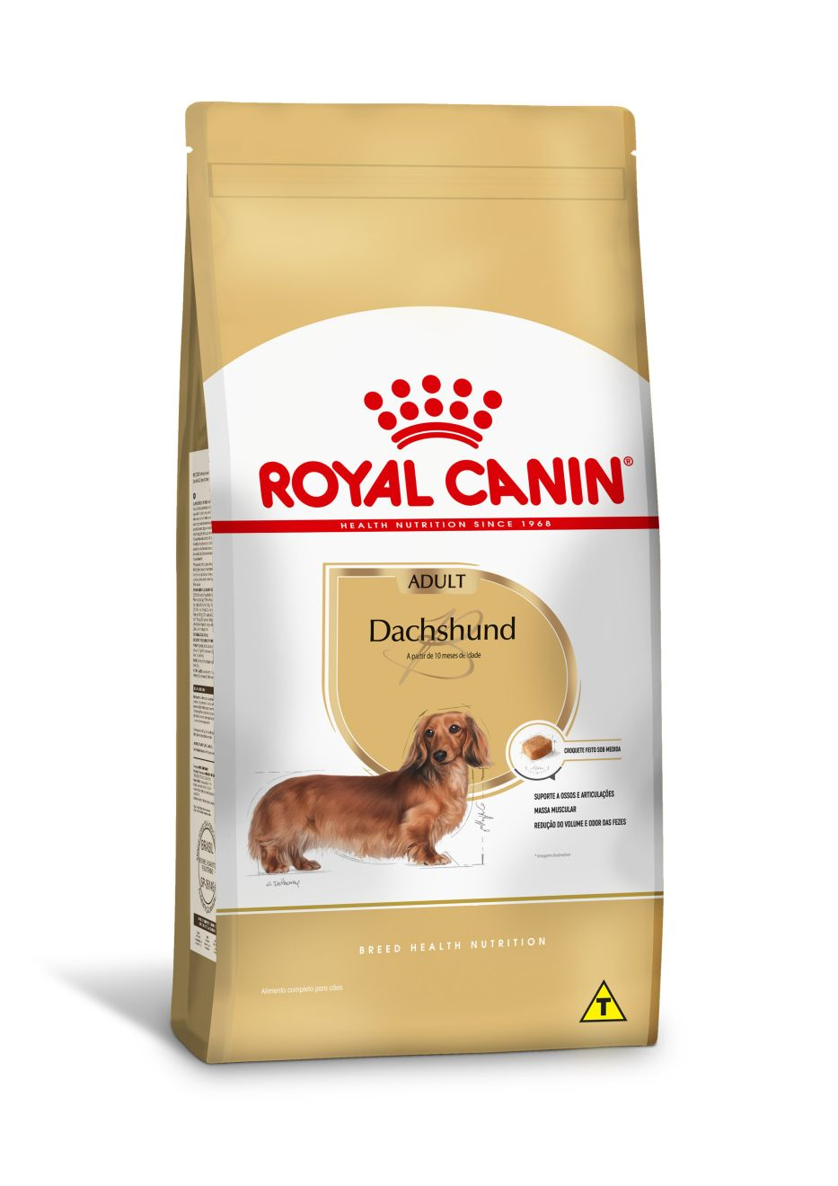 Dachshund adult | Royal Canin Brazil