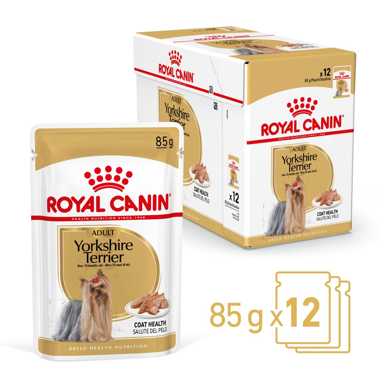 Yorkshire Terrier Loaf | Royal Canin NZ