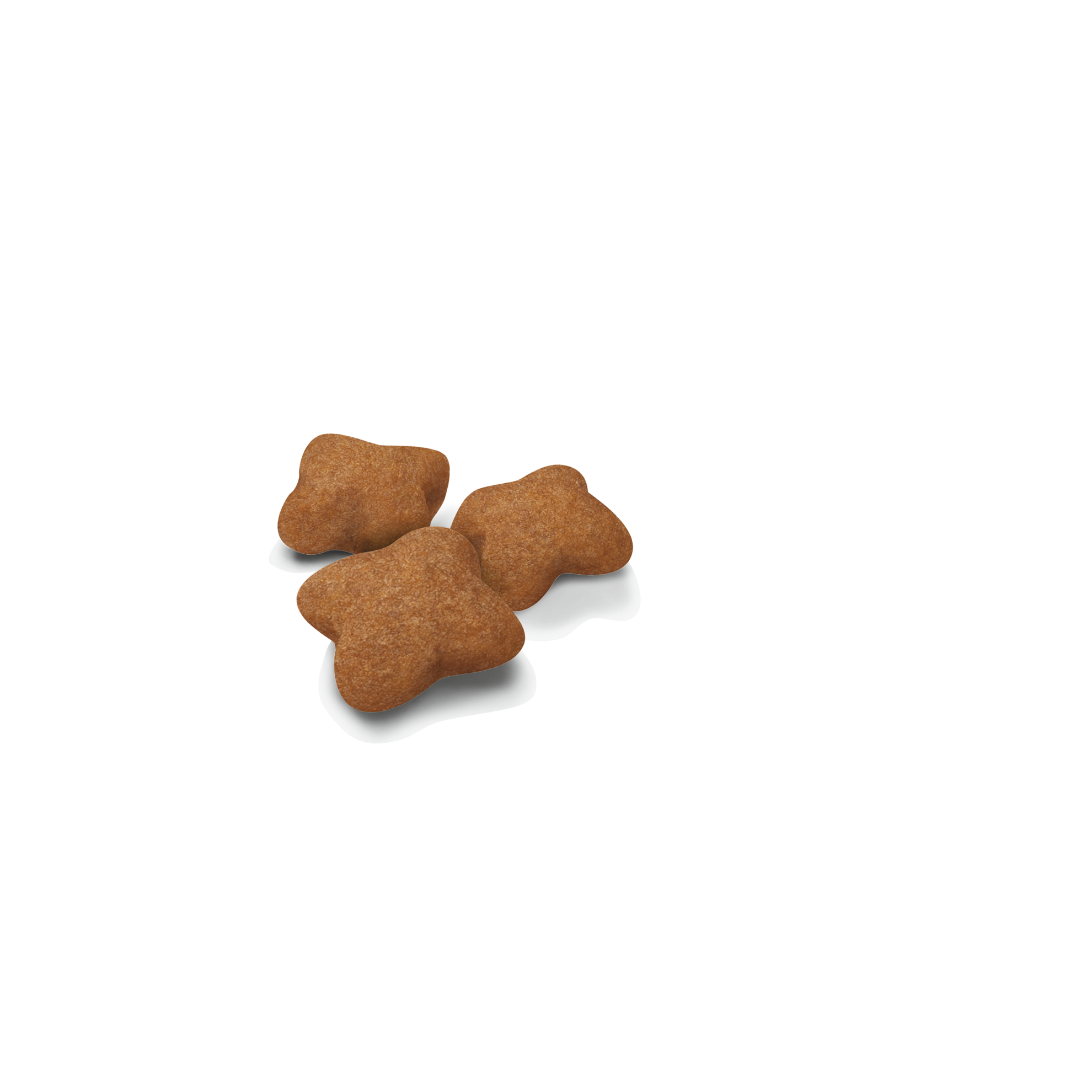 Feline Kitten Spayed/Neutered Dry Cat Food | Royal Canin CA