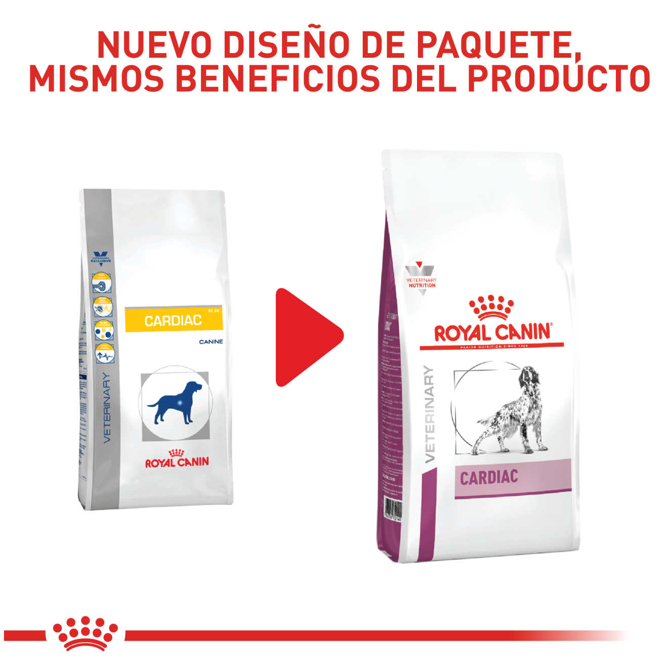 Cardiac | Royal Canin CO