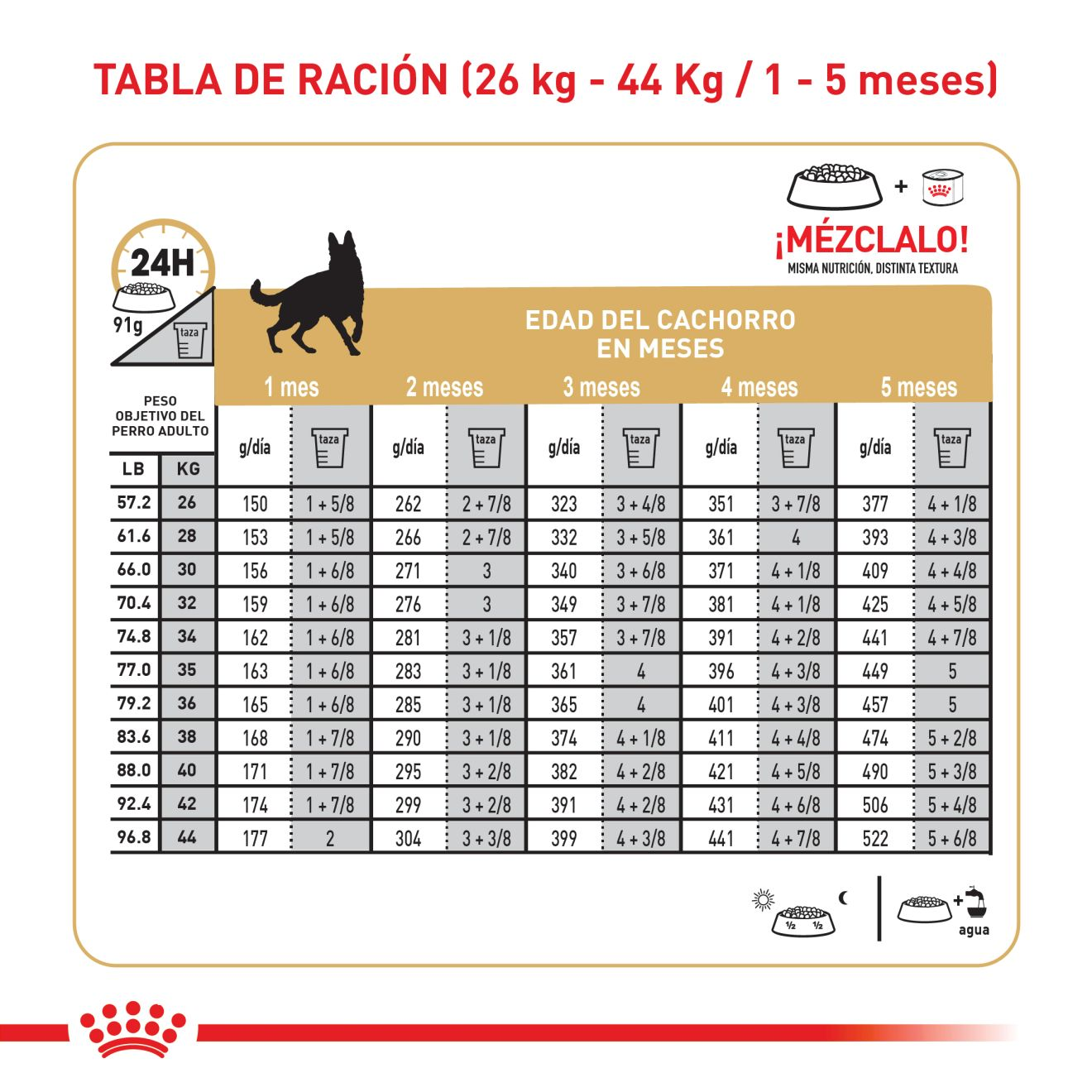 Pastor Alemán Cachorro | Royal Canin CO