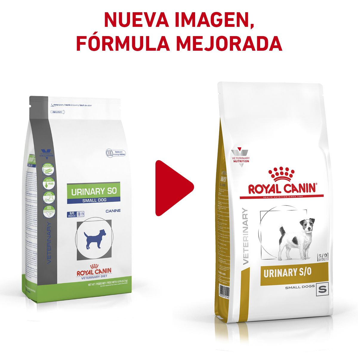 Urinary SO Small Dog | Royal Canin MX