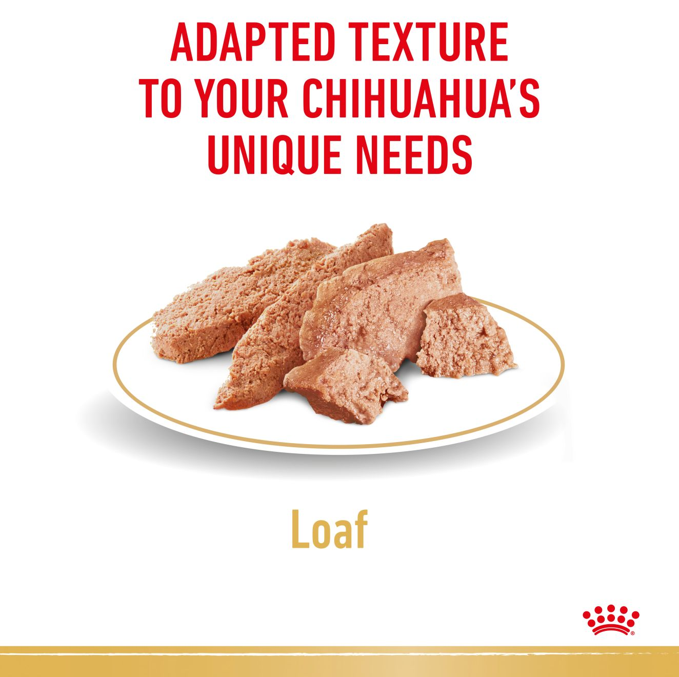 Chihuahua Loaf | Royal Canin AU