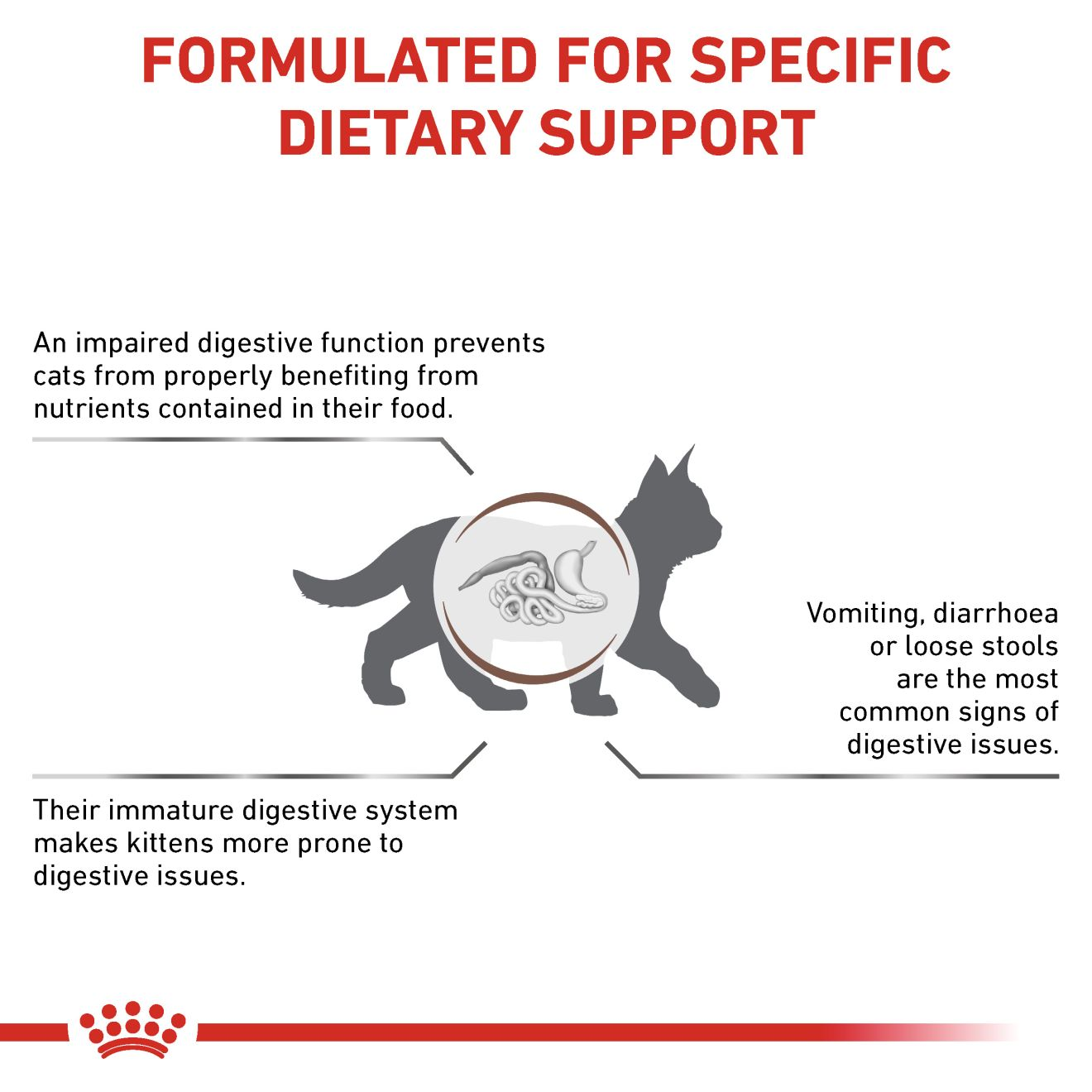 Gastrointestinal Kitten | Royal Canin IT