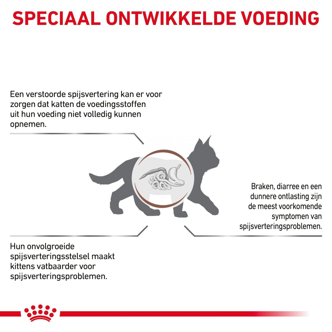 Gastrointestinal Kitten | Royal Canin NL