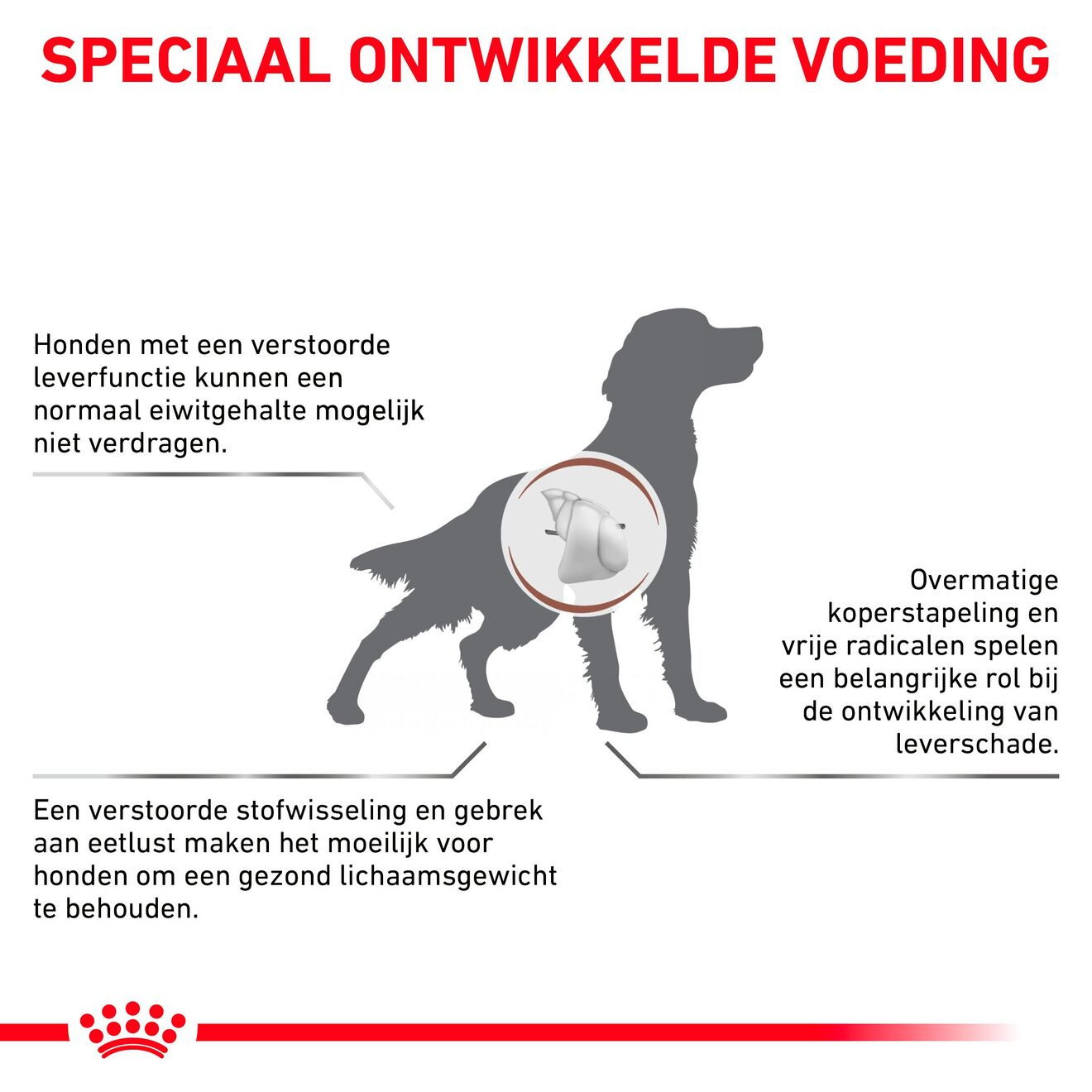 Hepatic | Royal Canin NL