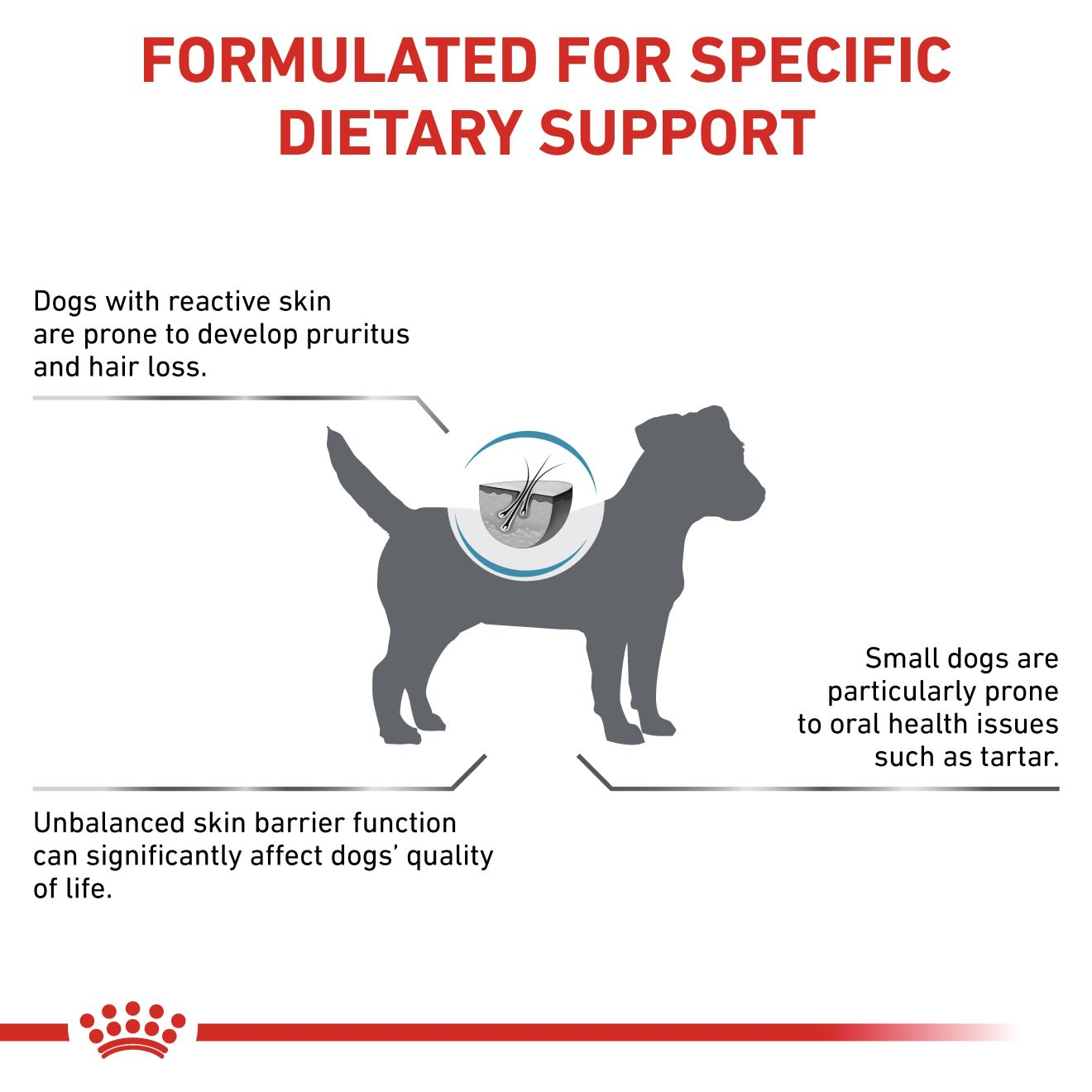 SKIN CARE SMALL DOGS | Royal Canin Switzerland