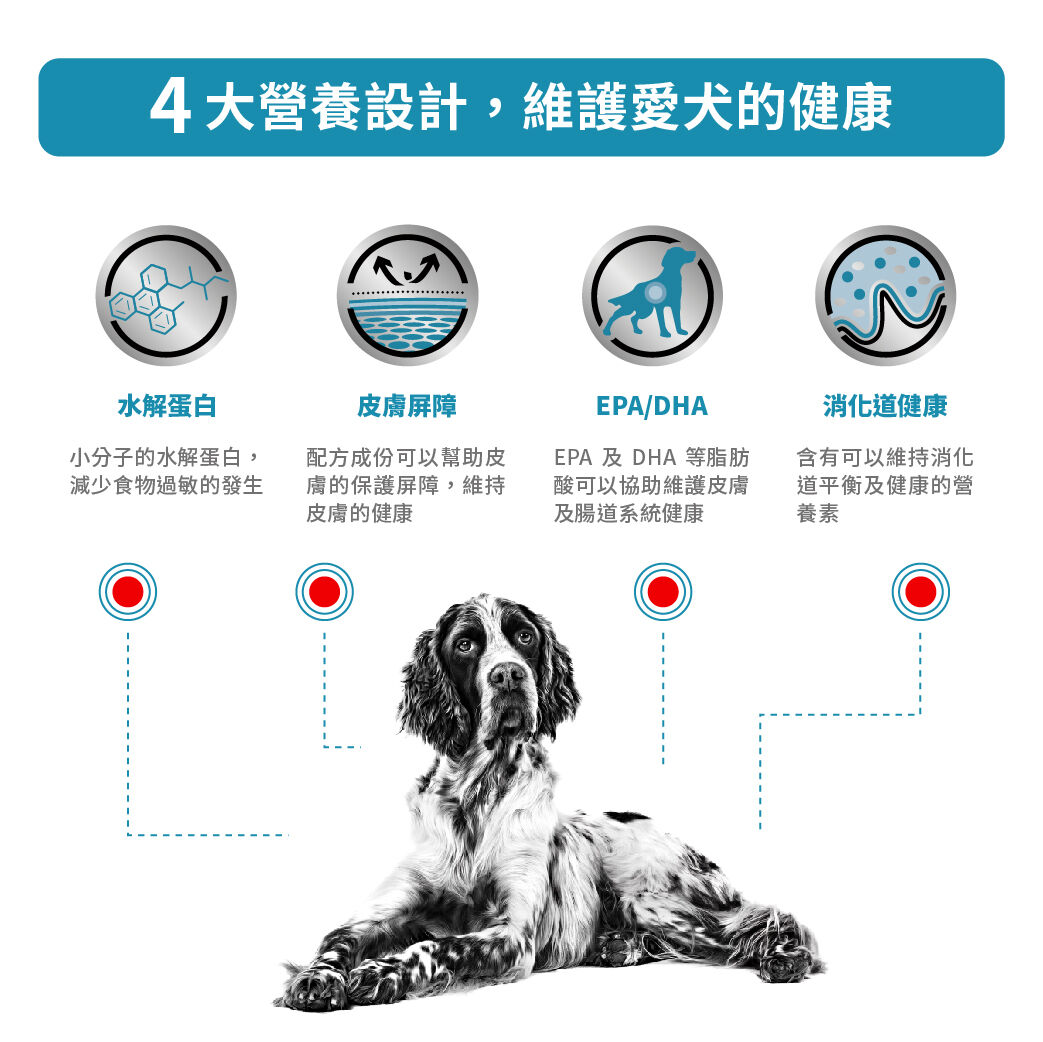 DR21 犬 低過敏配方乾糧 | Royal Canin Taiwan