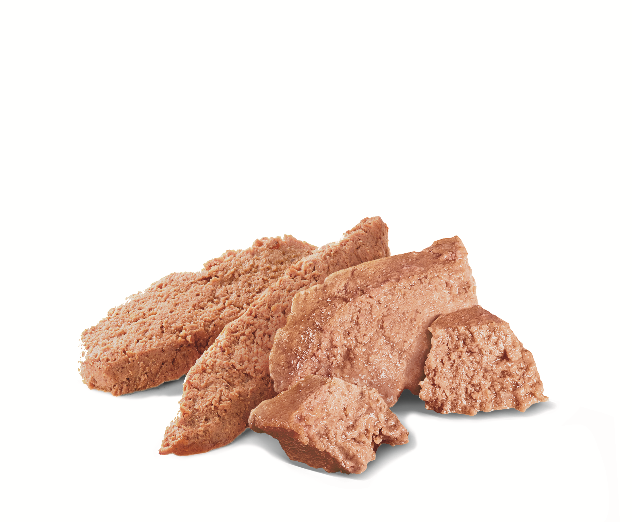 Persian Adult Loaf in Sauce canned cat food | Royal Canin US