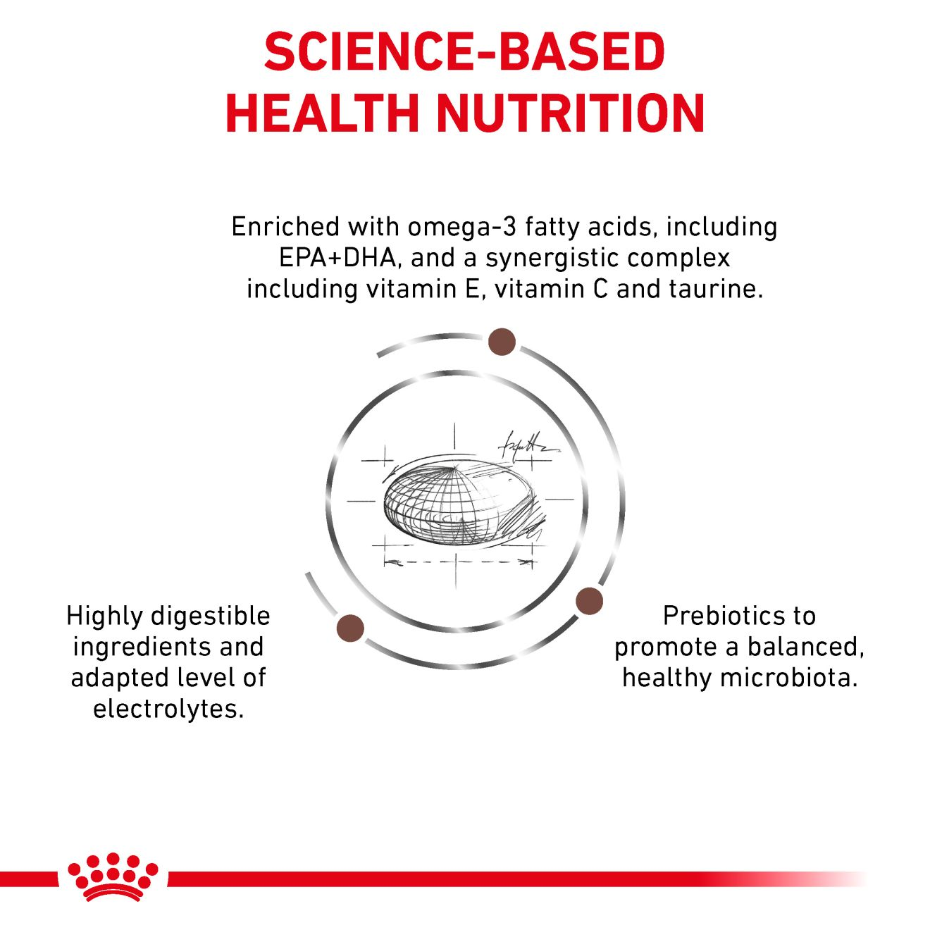 GASTROINTESTINAL HIGH FIBRE | Royal Canin AT