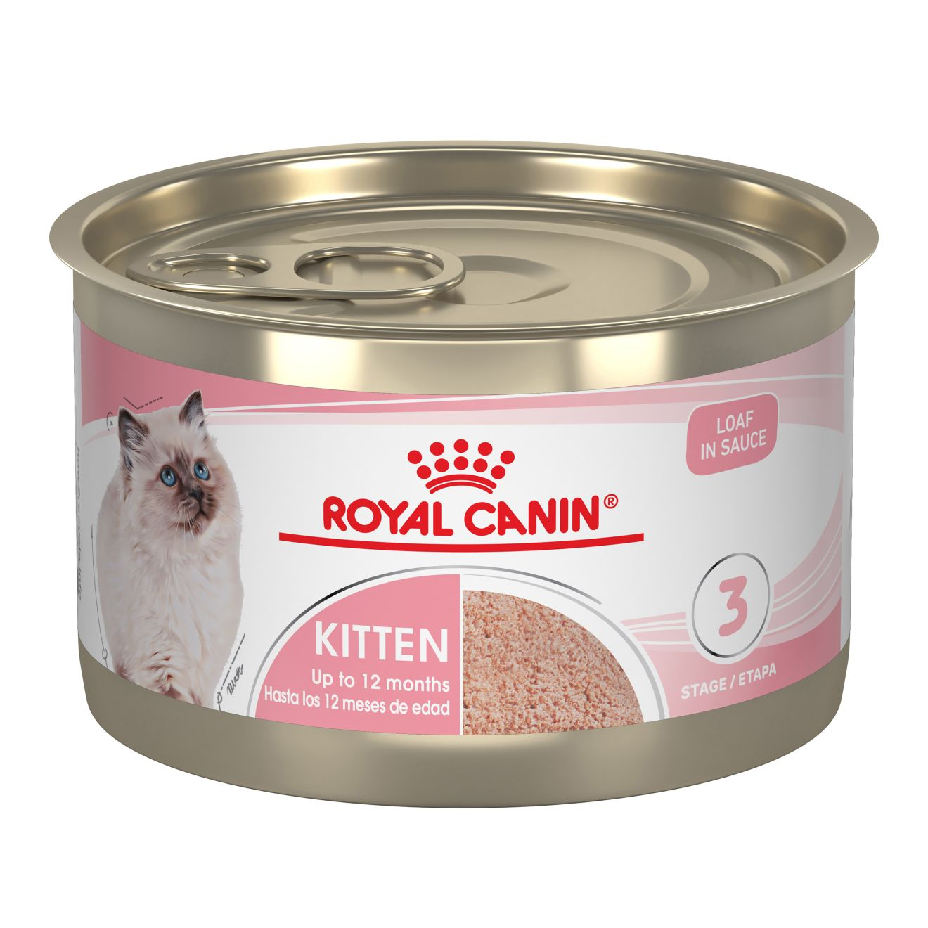 Kitten Loaf in Sauce Canned Cat Food | Royal Canin US
