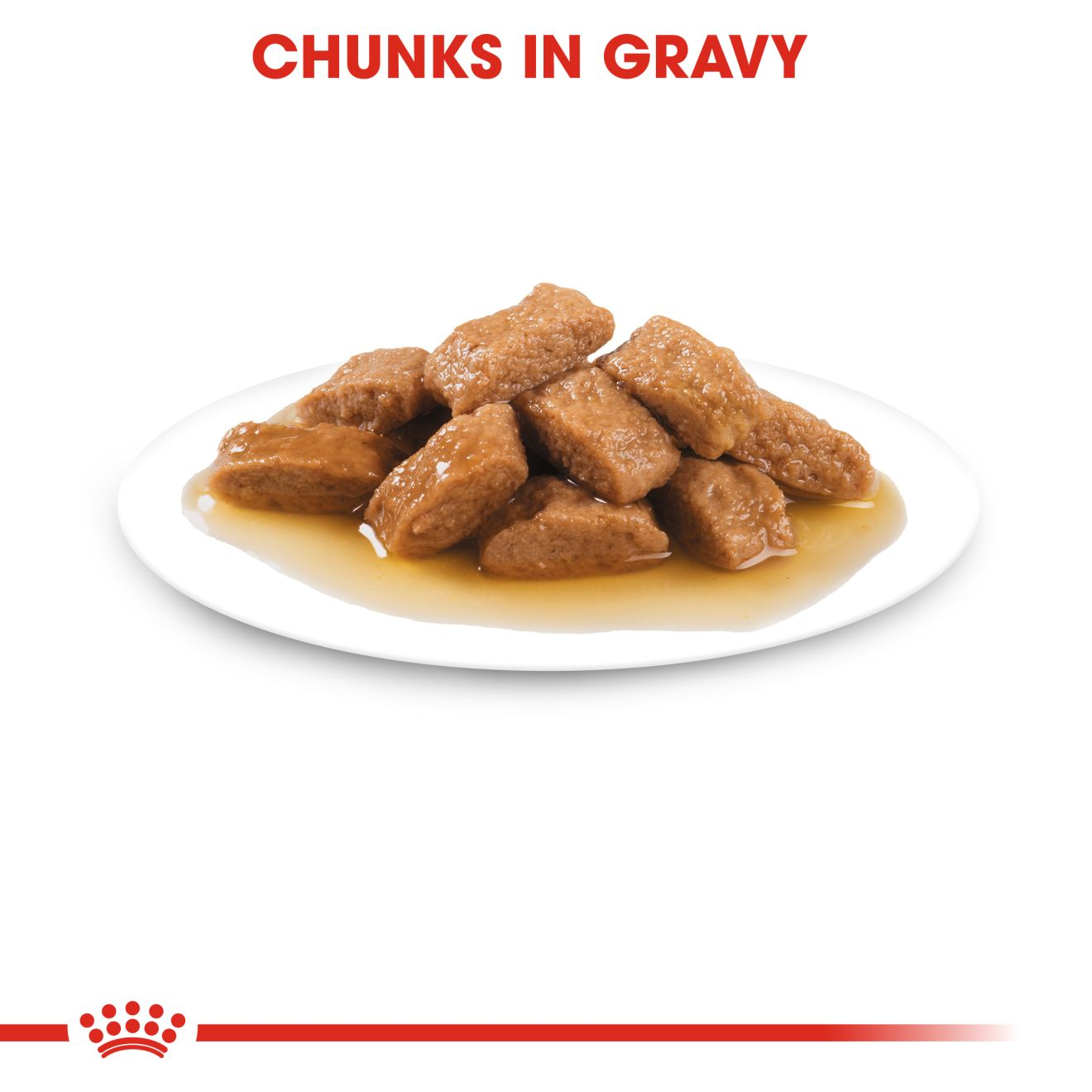 Medium Ageing 10+ Chunks In Gravy | Royal Canin UK