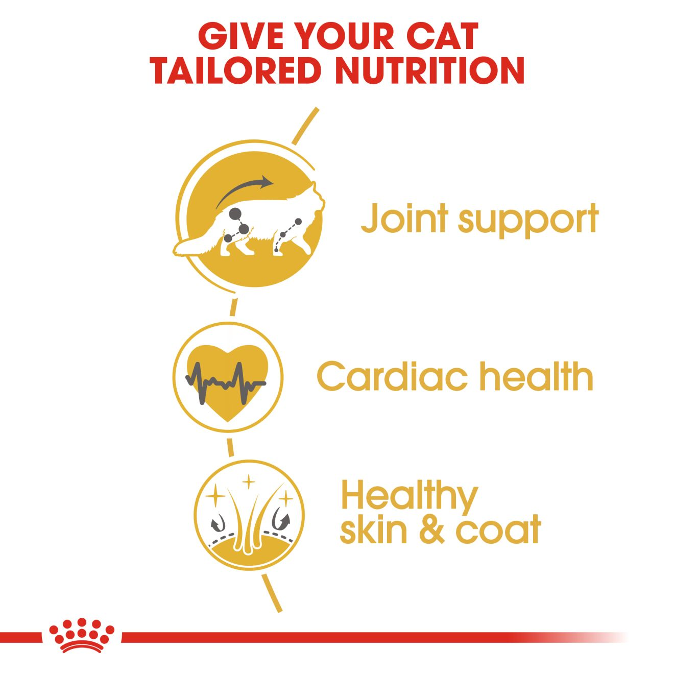 Maine Coon Adult – Cat Food | Royal Canin Shop | Royal Canin UK