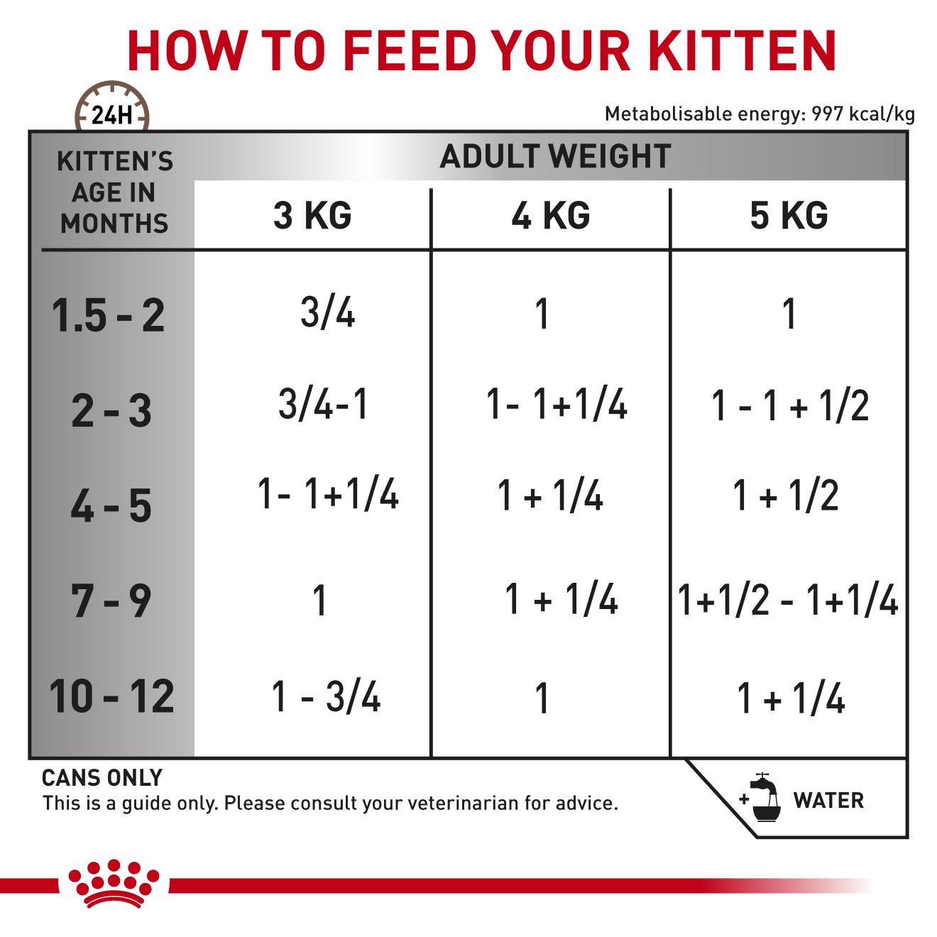 Gastrointestinal Kitten | Royal Canin AU