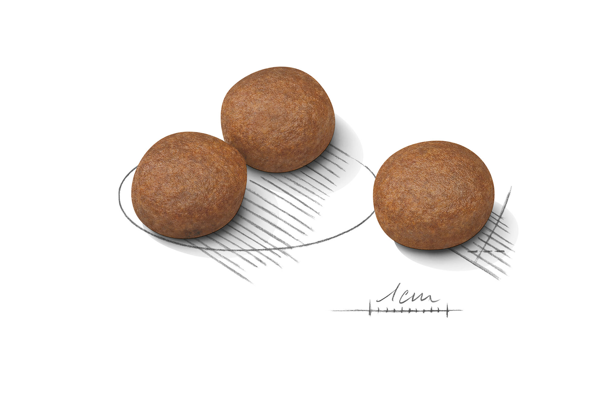 Medium Digestive Care Dry Dog Food | Royal Canin US