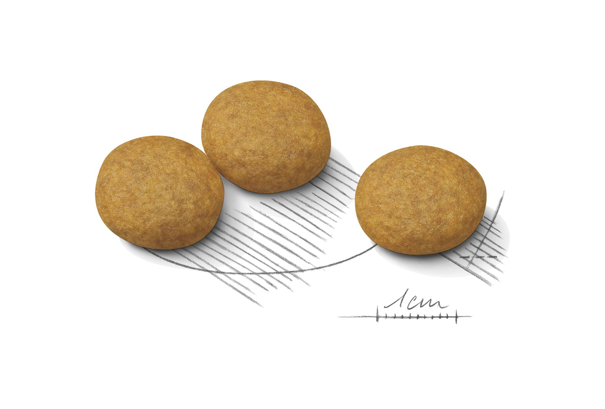 Medium Sensitive Skin Care Dry Dog Food | Royal Canin US