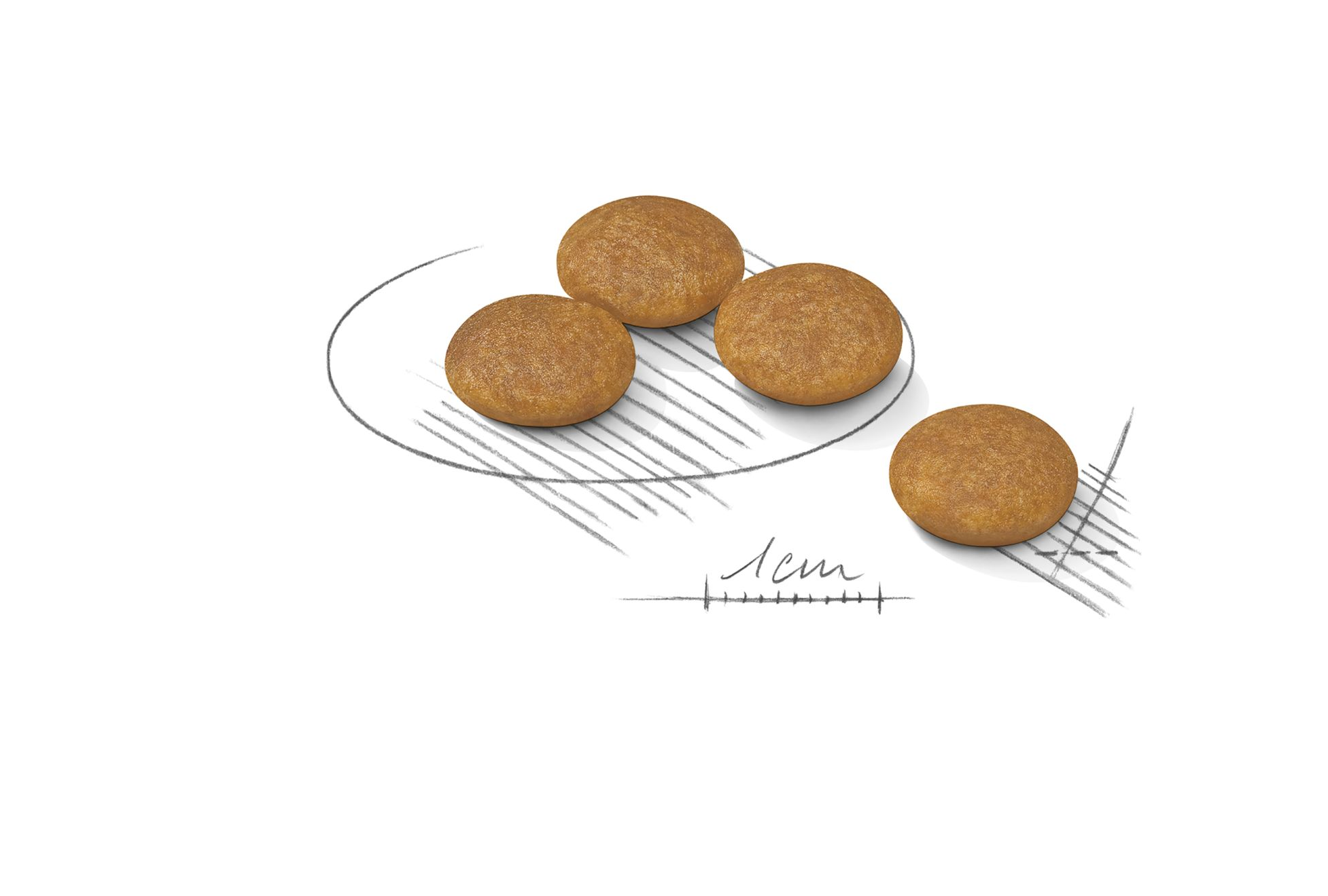 Dermacomfort Mini Adult | Royal Canin NO