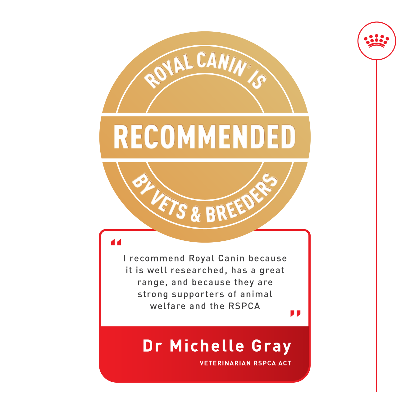 Mini Adult Wet Chunks in Gravy Dog Food Pouch | Royal Canin AU