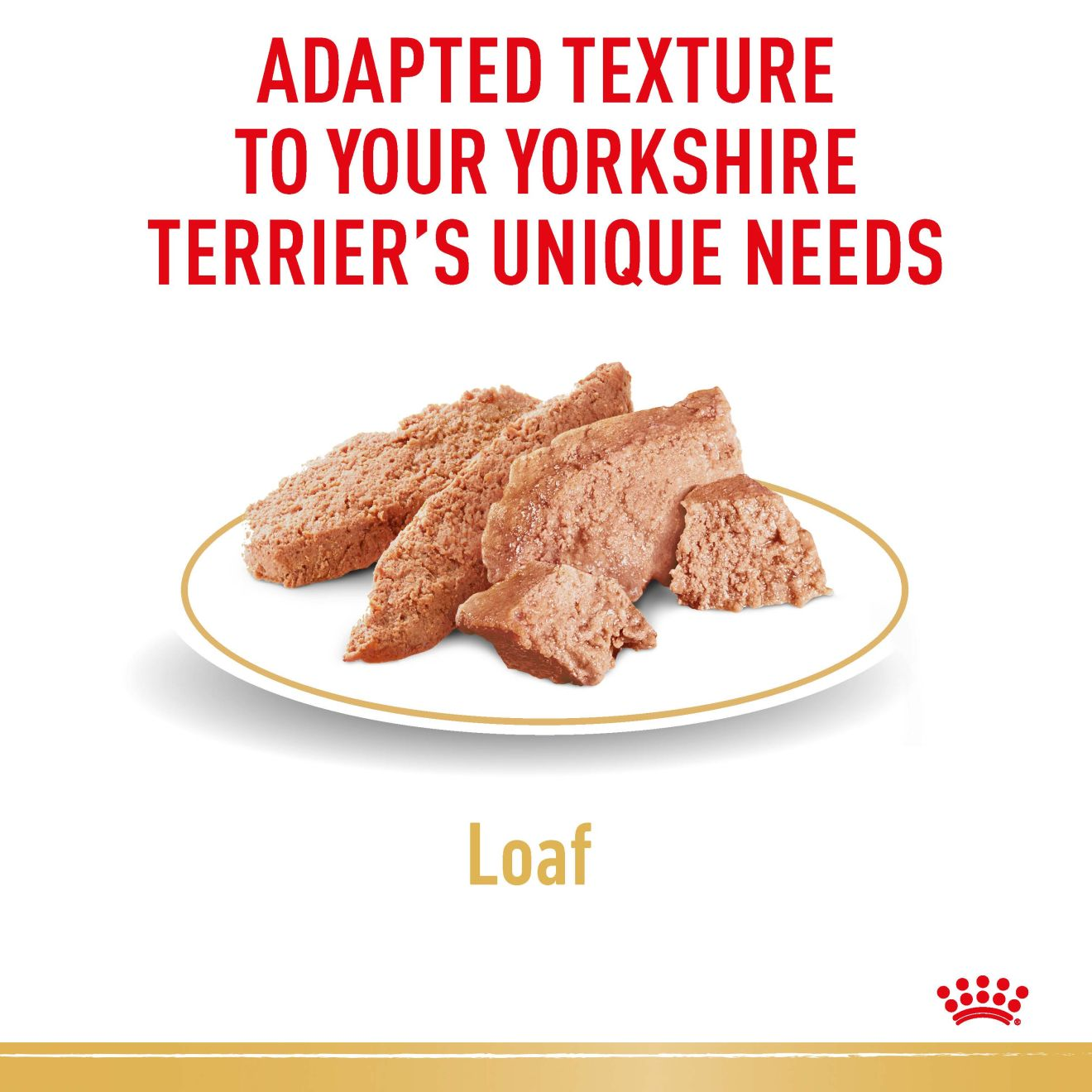 Yorkshire Terrier Loaf | Royal Canin NZ