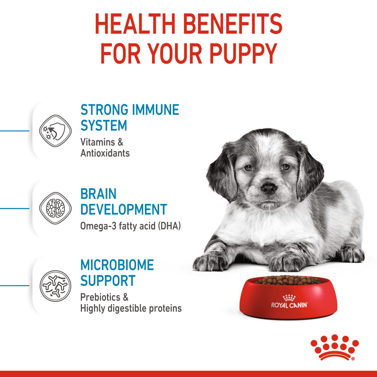 Royal Canin Medium Puppy - Hondenvoer | Royal Canin Shop | Royal Canin NL