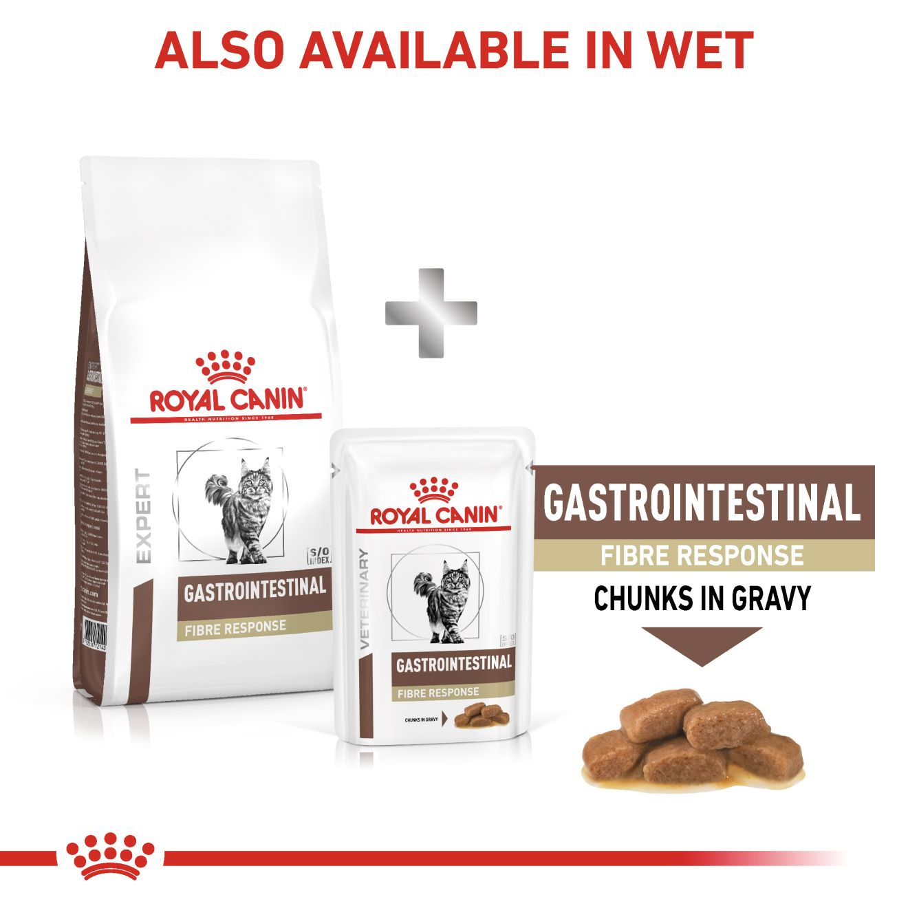 Gastrointestinal Fibre Response | Royal Canin UK
