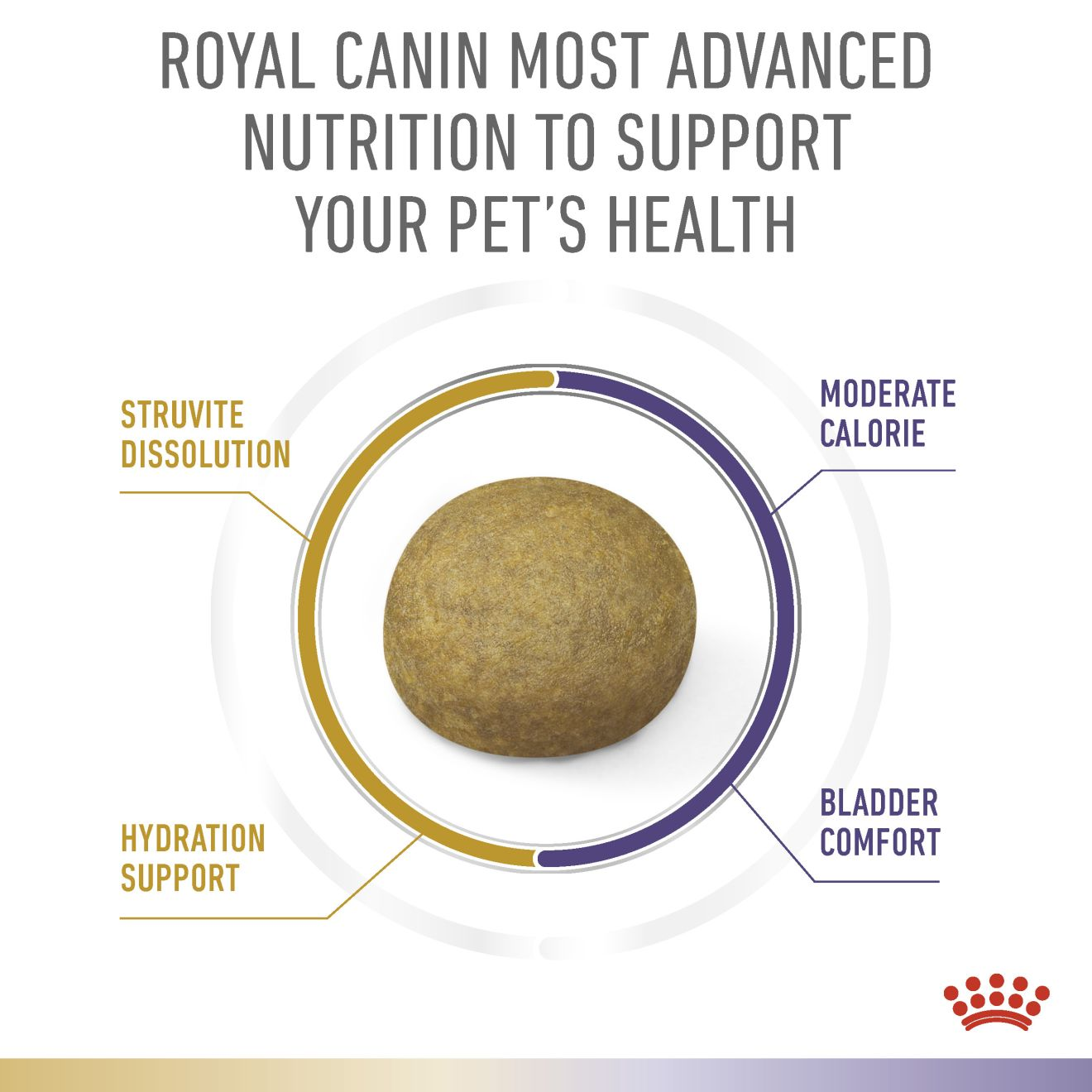 URINARY S/O & BLADDER COMFORT WET | Royal Canin UK
