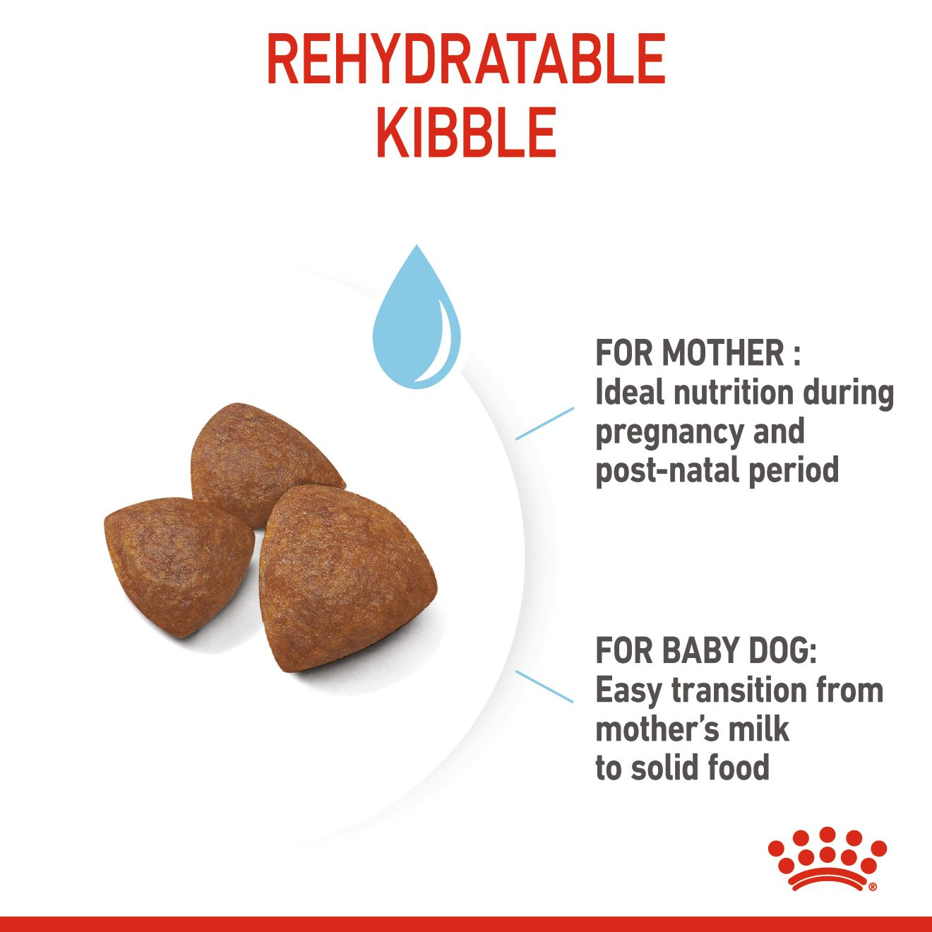Medium Mother & Babydog Starter | Royal Canin AU