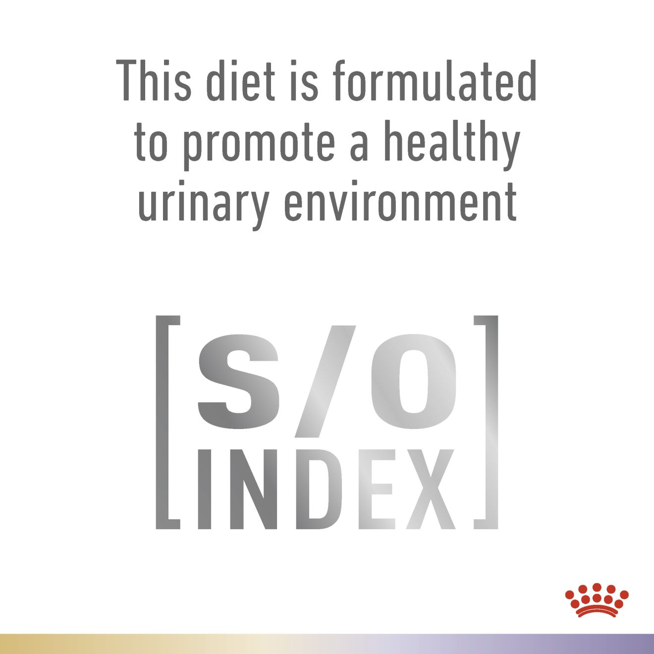 URINARY S/O & BLADDER COMFORT WET | Royal Canin UK