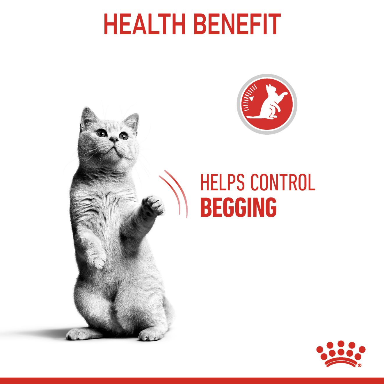 Appetite Control Care | Royal Canin AU
