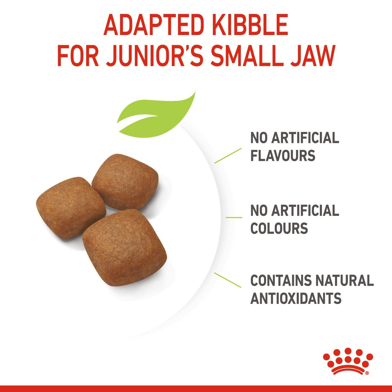 Giant Junior | Royal Canin AU