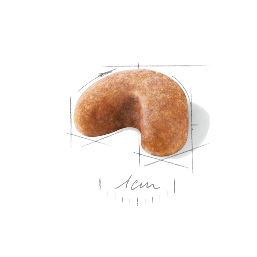 FBDP 法國鬥牛幼犬專用乾糧 | Royal Canin Taiwan