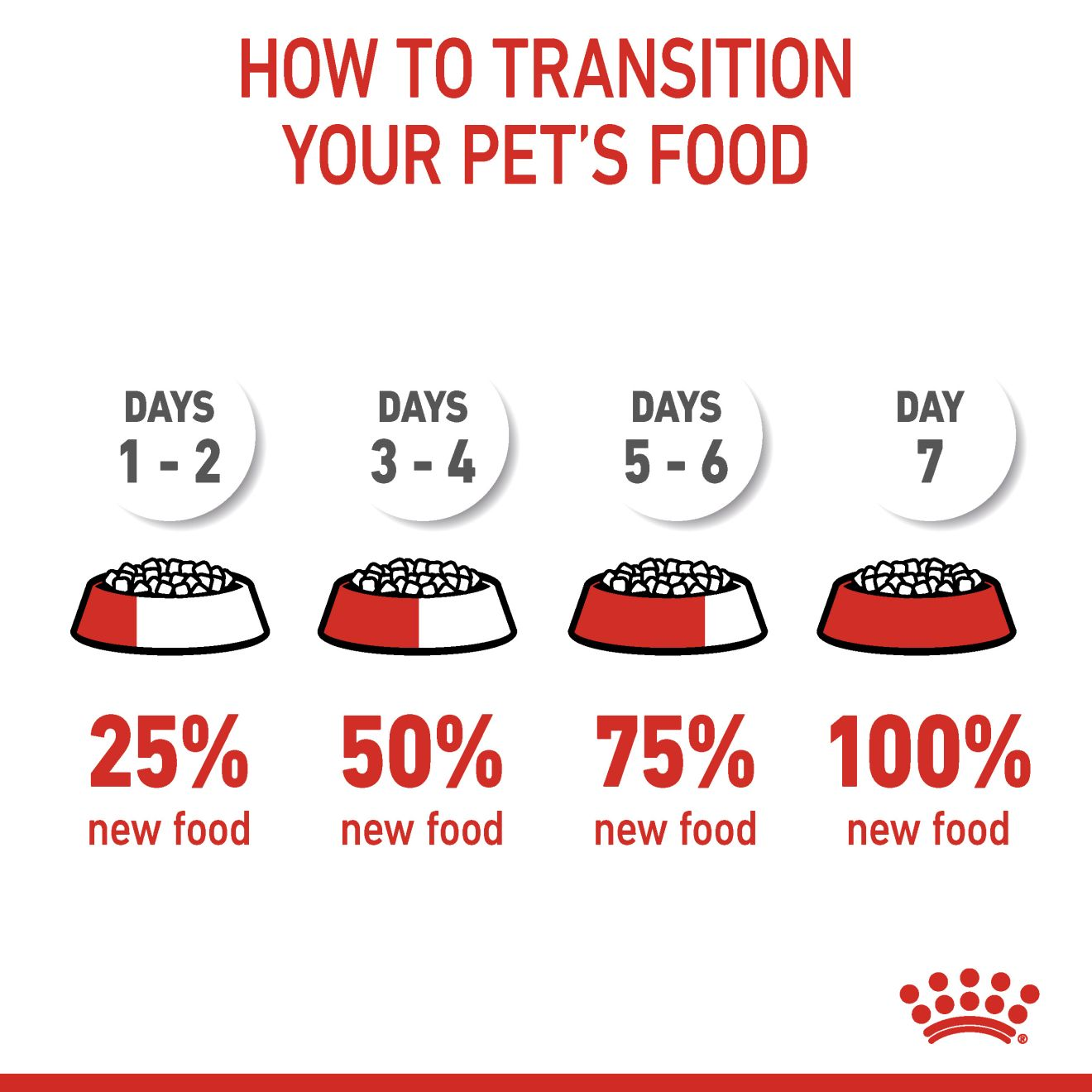 Digestive Care Dry Cat Food | Royal Canin US