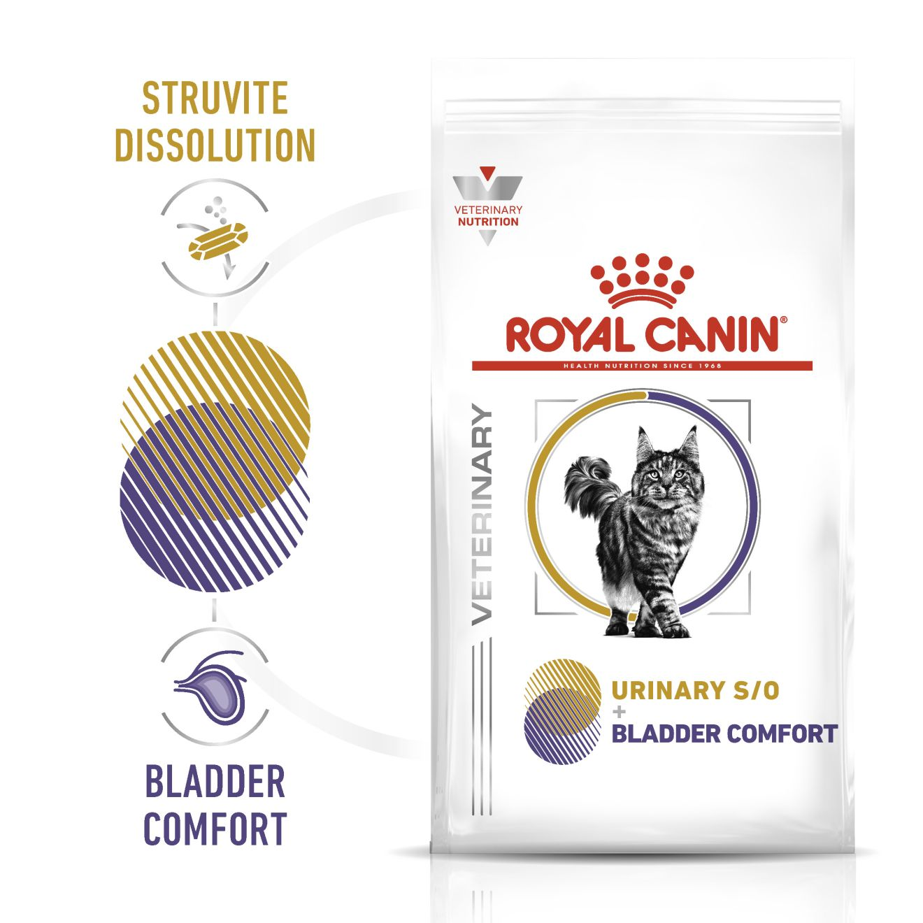 Royal Canin Urinary S/O + Bladder Comfort Adult Dry Pet Food for Cats | Royal Canin UK