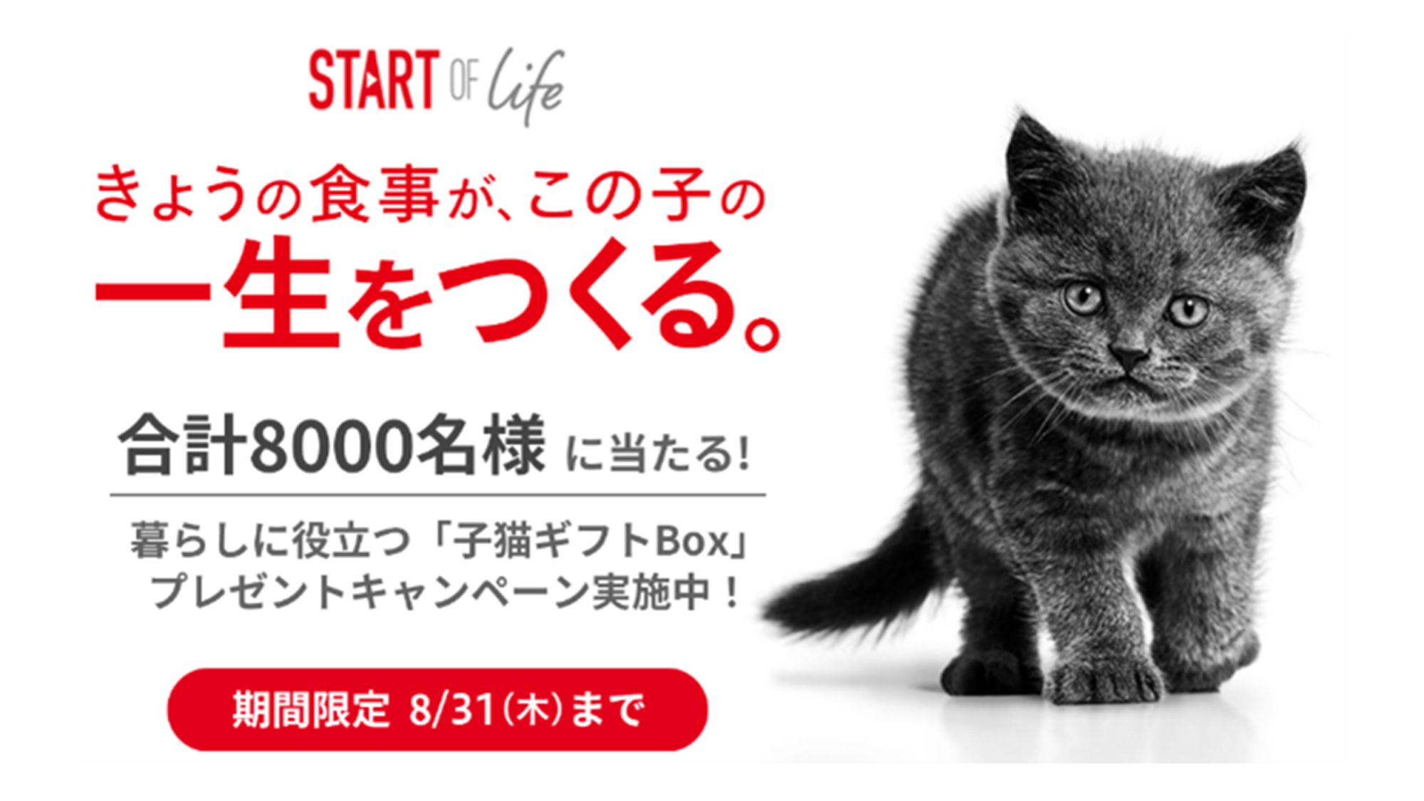 「Start of Life キャンペーン」を展開 | Royal Canin Japan | Royal Canin JP