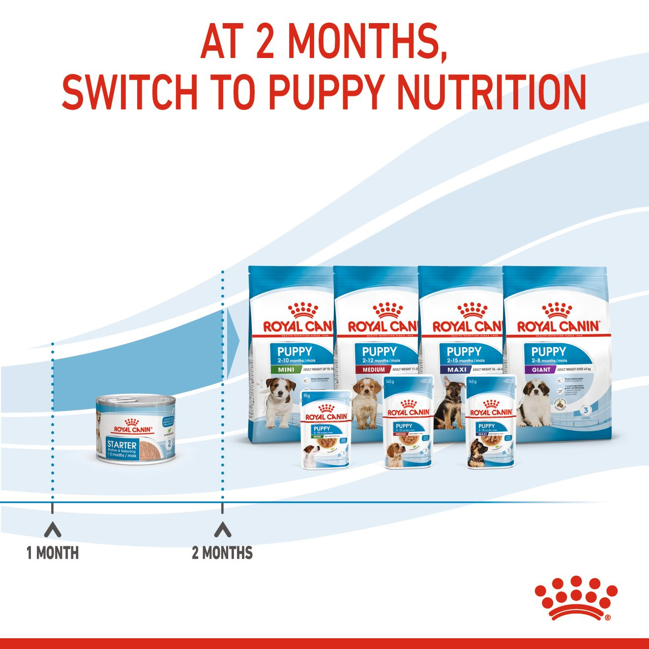 STARTER MOTHER & BABYDOG ultra soft mousse | Royal Canin US