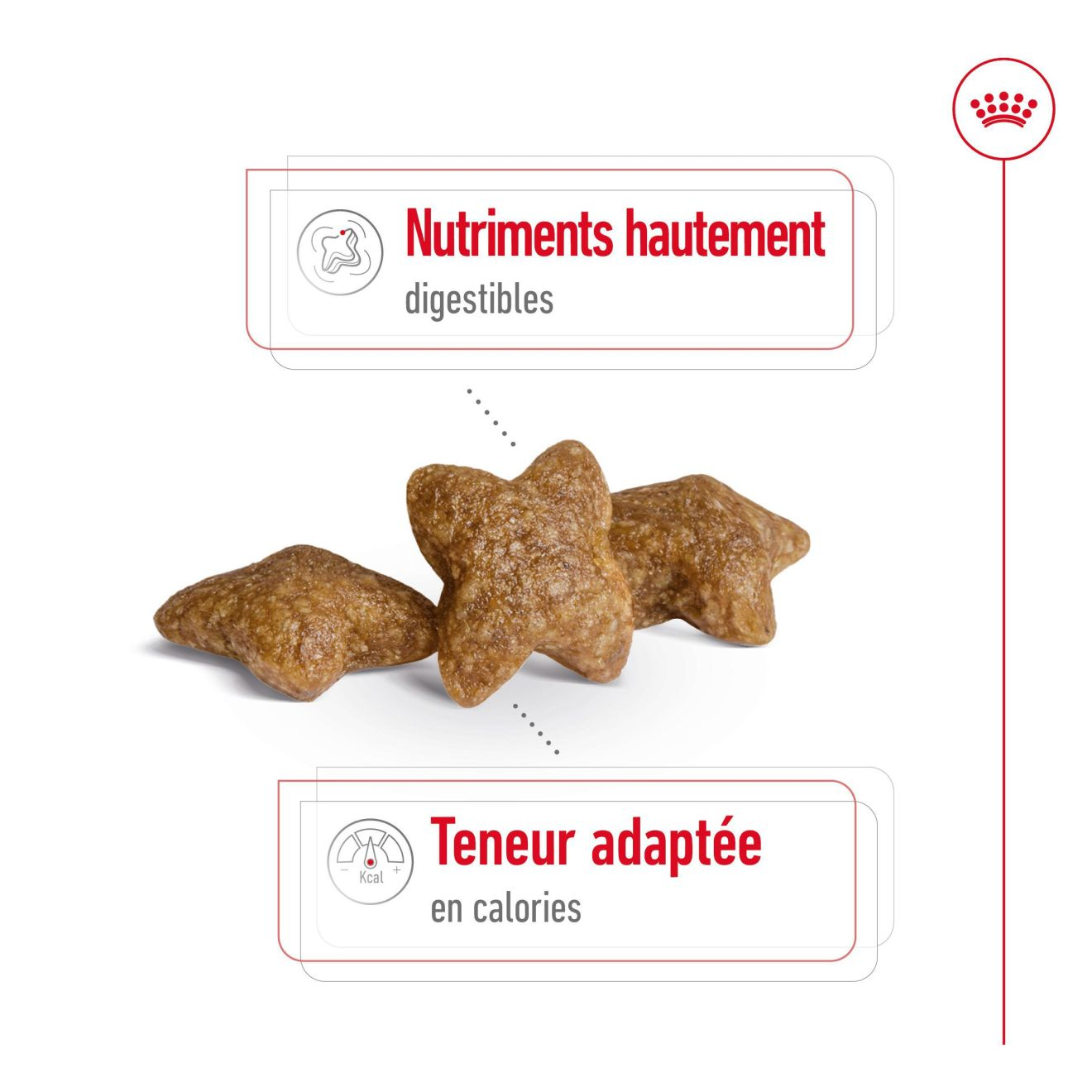 Mini Adult | Royal Canin BE