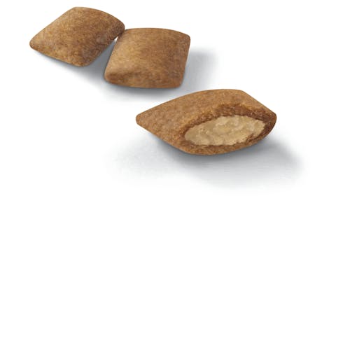 Exigent Loaf Köpekler için tam yem - Yetişkin ve yaşlı küçük ırk ...