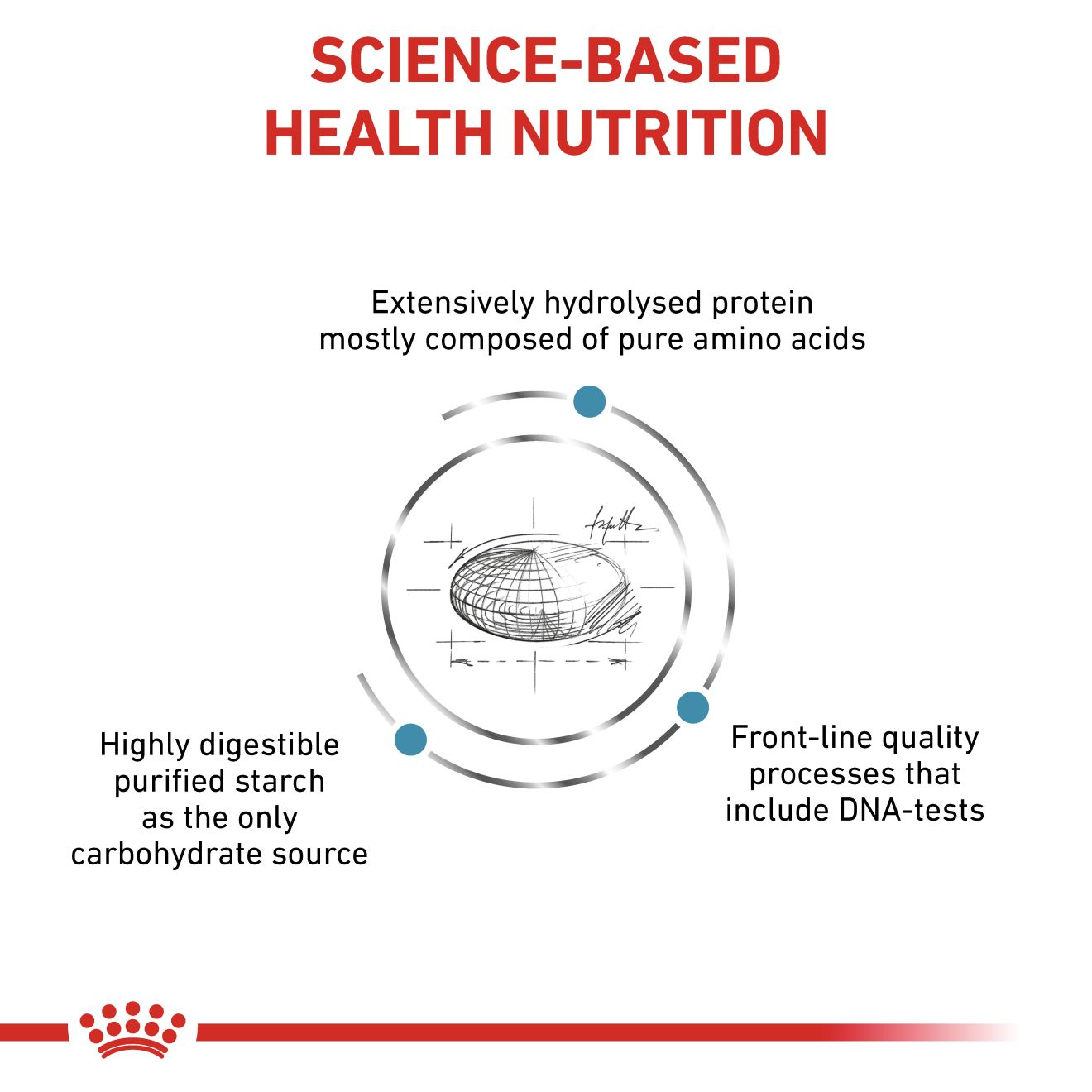 ANALLERGENIC für Katzen | Royal Canin AT