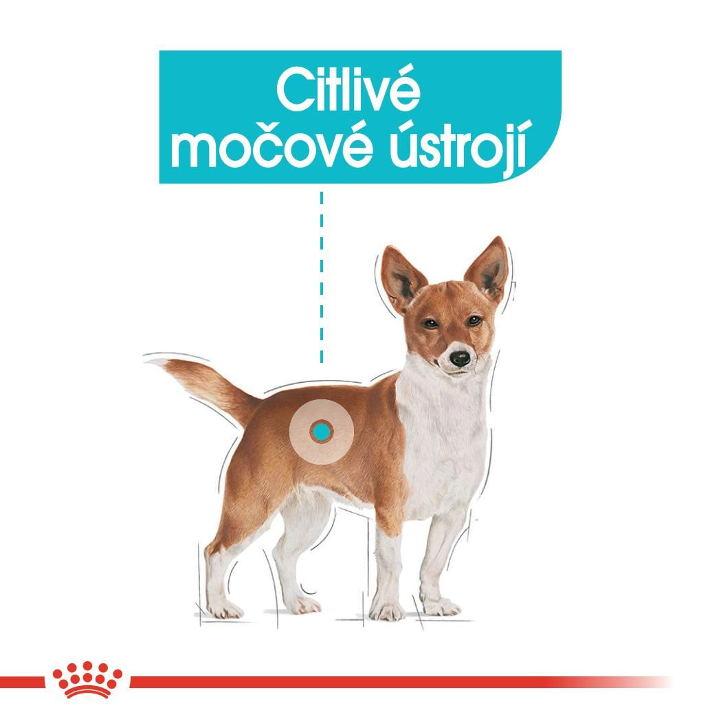 URINARY CARE | Royal Canin Czech