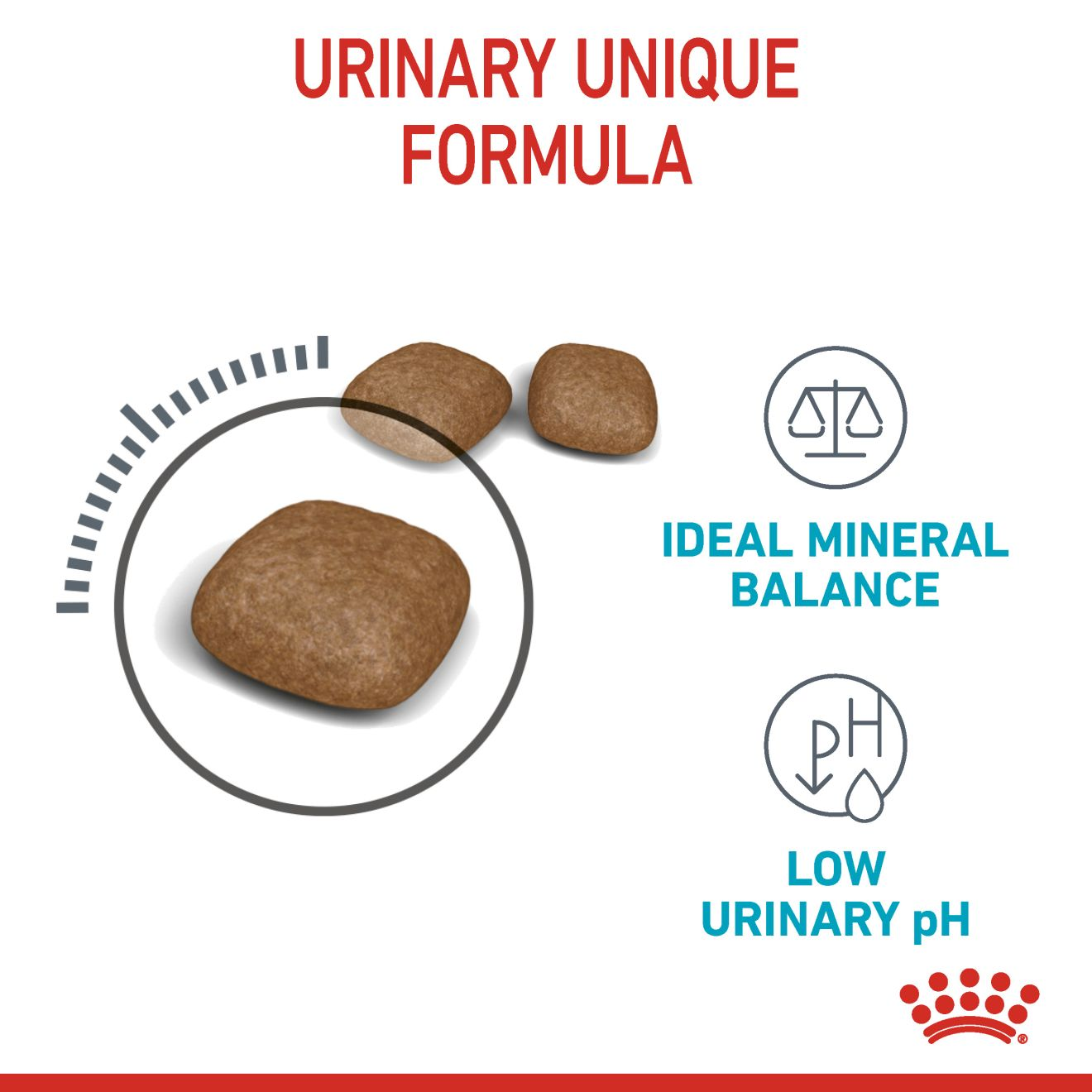 Urinary Care Dry Cat Food | Royal Canin CA