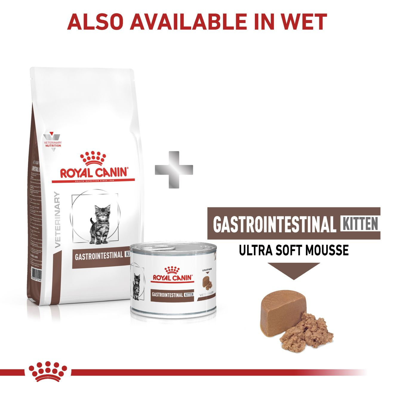 GASTROINTESTINAL KITTEN | Royal Canin Switzerland
