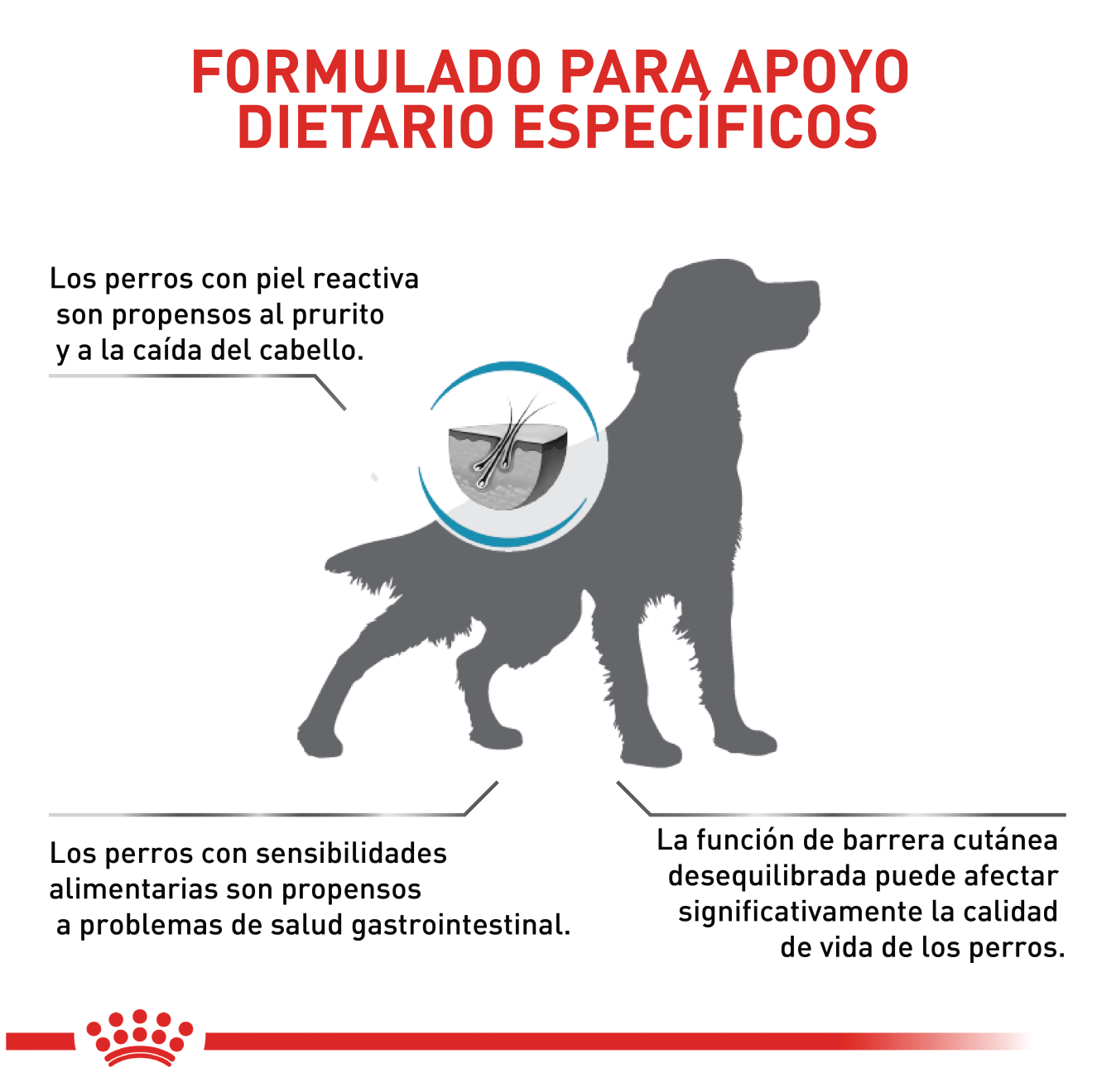Skin Care | Royal Canin CO