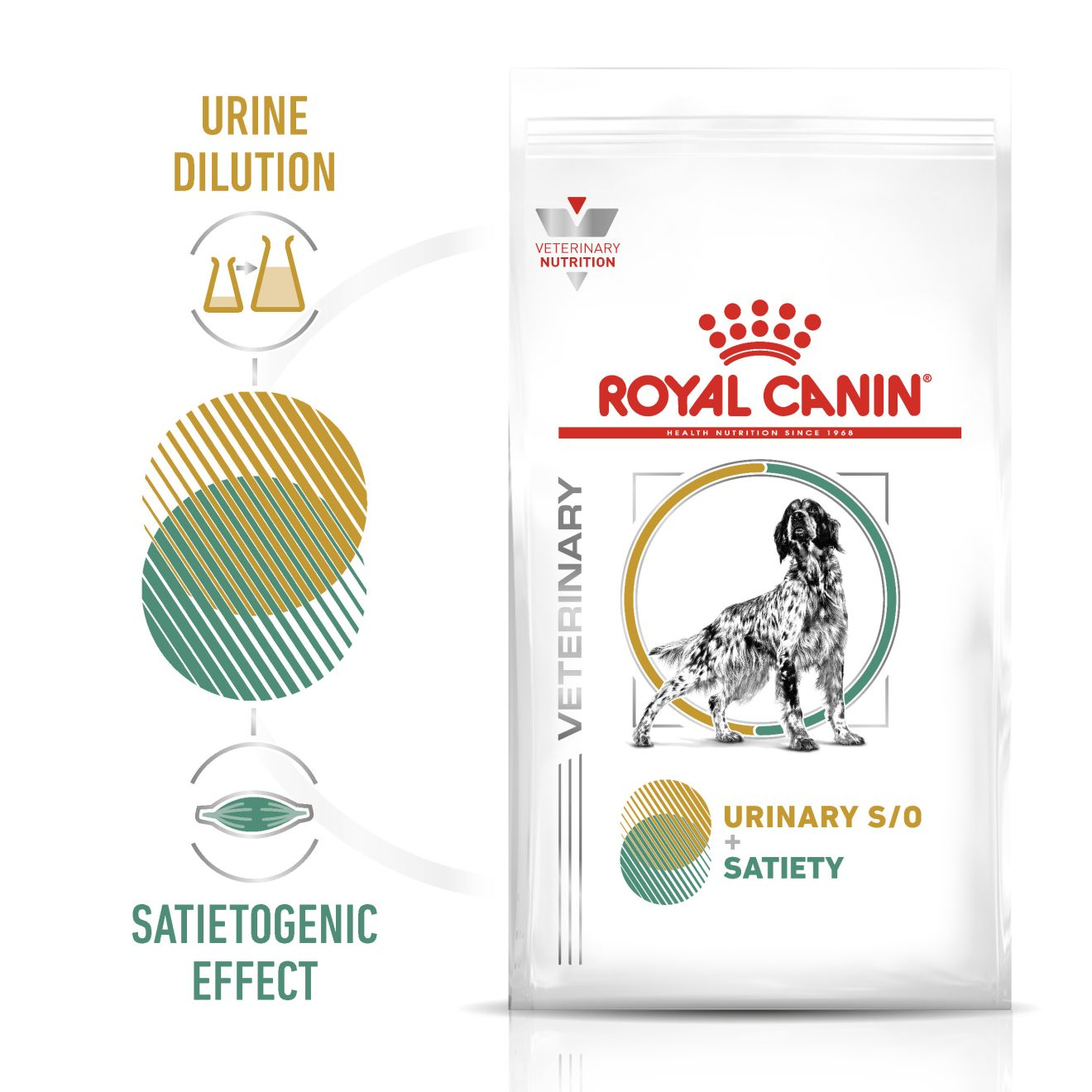 URINARY S/O + SATIETY | Royal Canin UK
