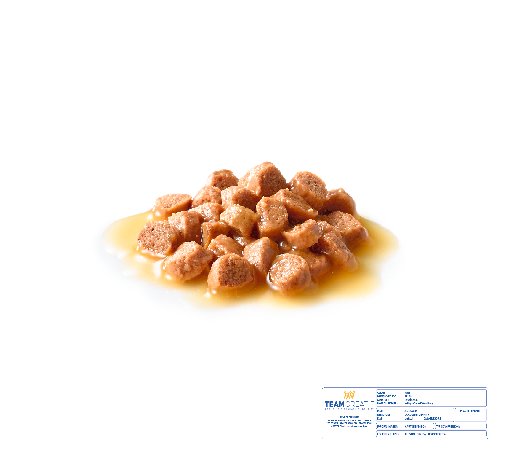 Kitten Gravy | Royal Canin Singapore