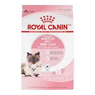 Month Old Kitten Wet Food UK Online Teamworxmoving