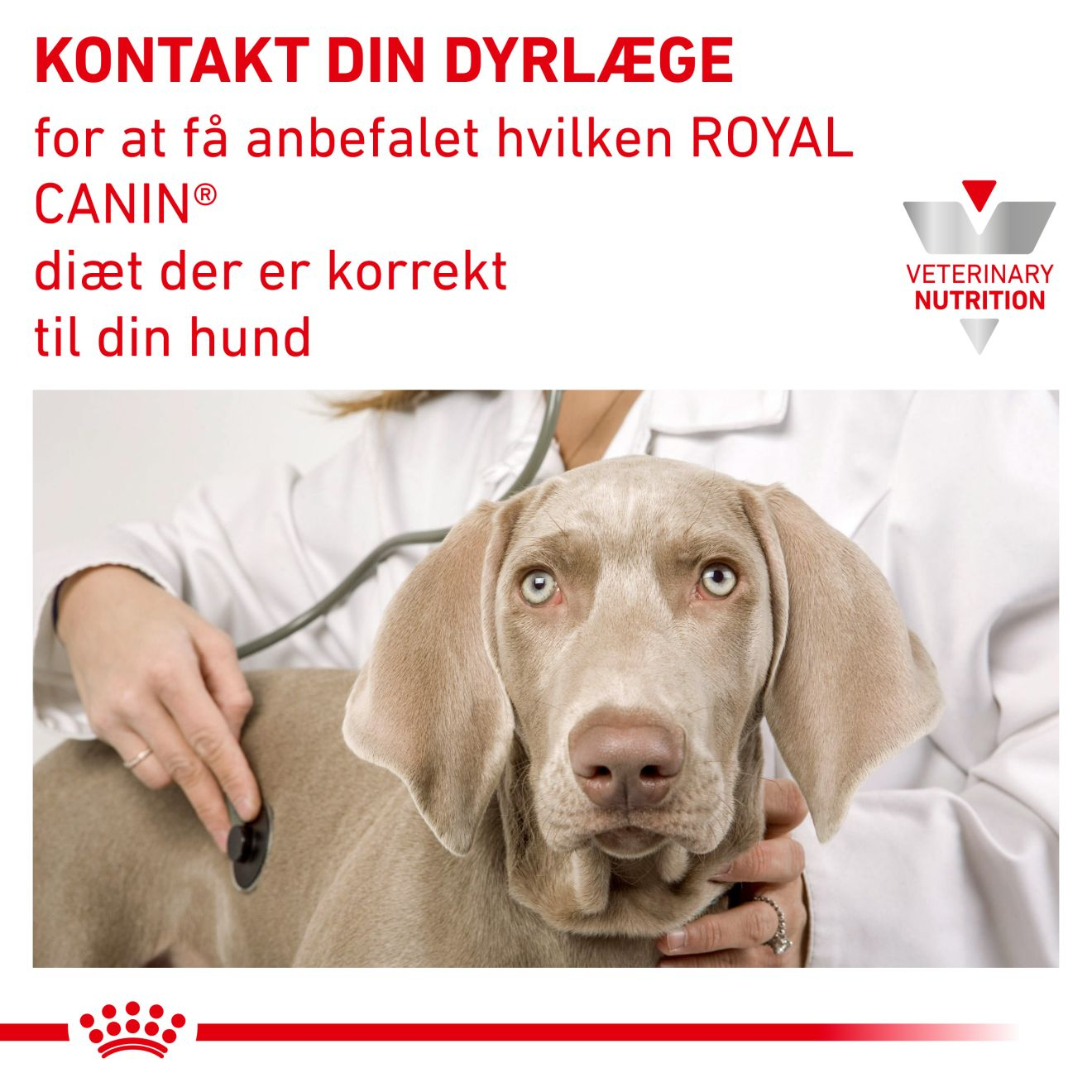 Urinary S/O Small Dog | Royal Canin DK