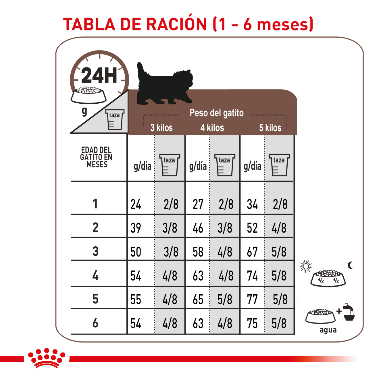 Gastrointestinal Kitten | Royal Canin CO