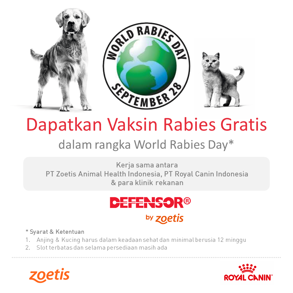 Bahaya Rabies dan Perwujudan Bebas Rabies 2030 | Royal Canin Indonesia