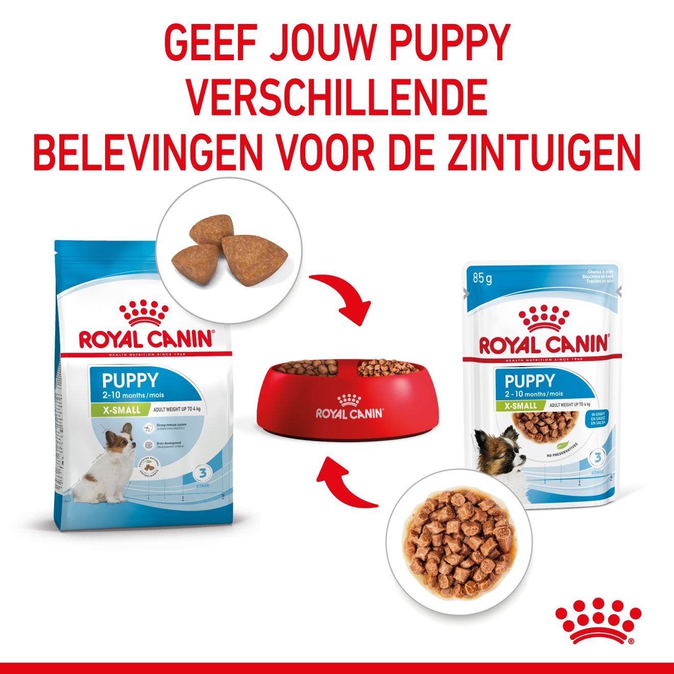 Royal Canin X-Small Puppy in Gravy - Natvoer voor honden | Royal Canin ...